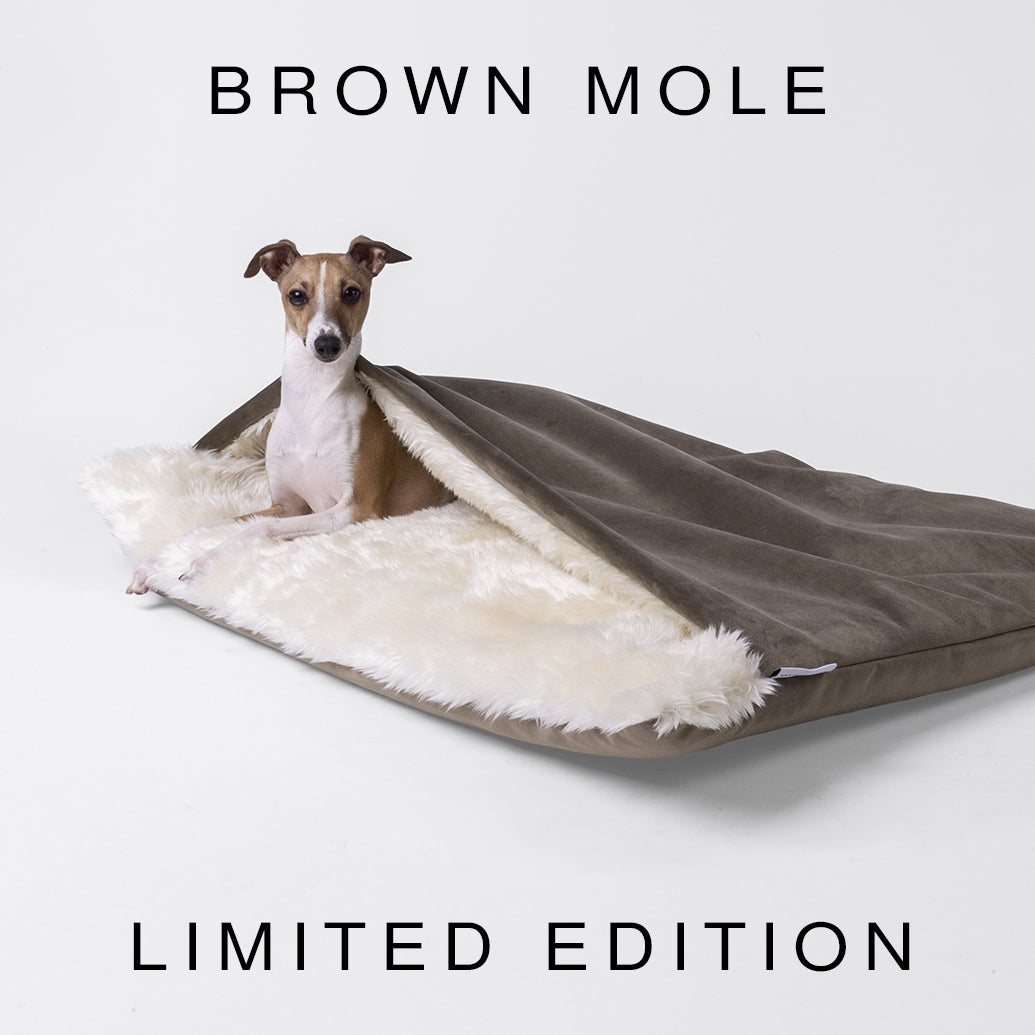 Burrow Bag Dog Bed in Velour – Charley Chau - luxury dog bedding