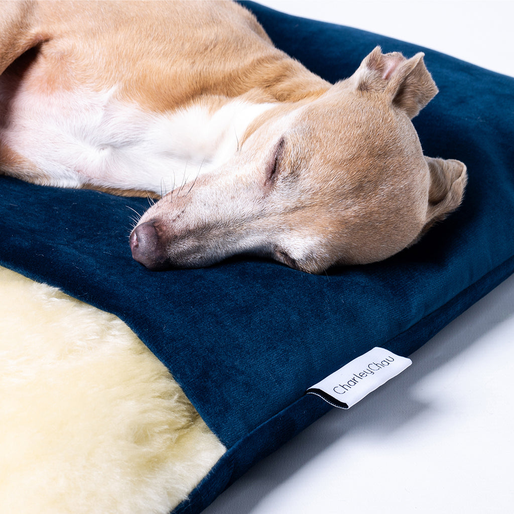 Charley Chau - Luxury Dog Beds & Dog Blankets — Charley Chau - luxury ...