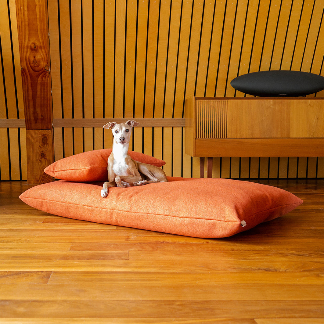 Snuggle Beds - luxury dog sleeping bags with mattress — Charley Chau ...
