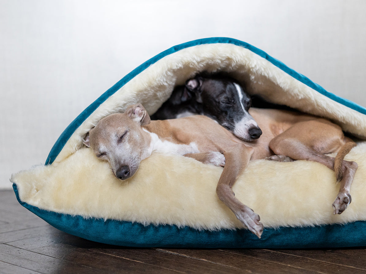 Winter Warm Snuggle Bed For Dogs — Charley Chau - Luxury Dog Beds ...